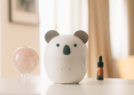 Aroma Diffuser für ätherische Öle – Oilbuddys
